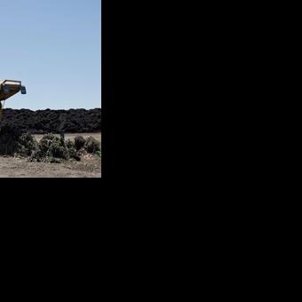 Senate Bill 1383, which aims to reduce organic waste in landfills, went ...