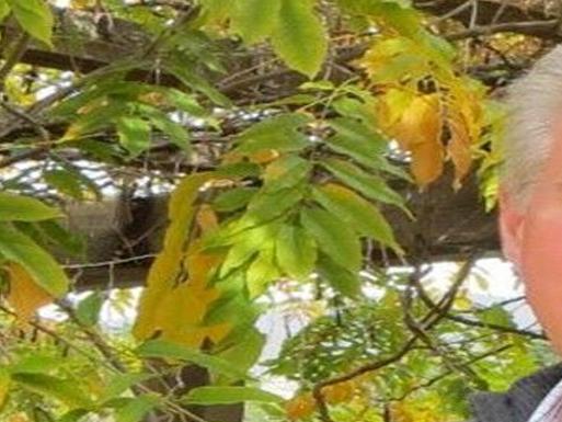 jon robertson conductor