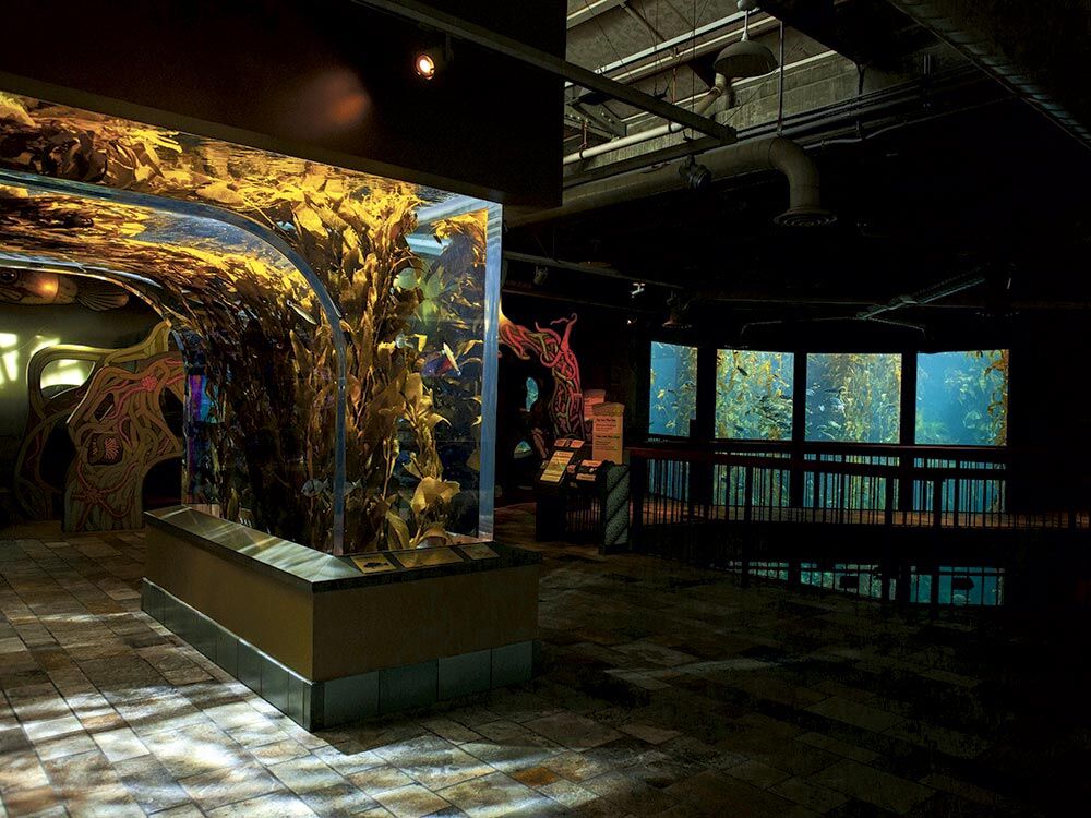 Free Tickets for Monterey County Residents at Monterey Bay | News ...