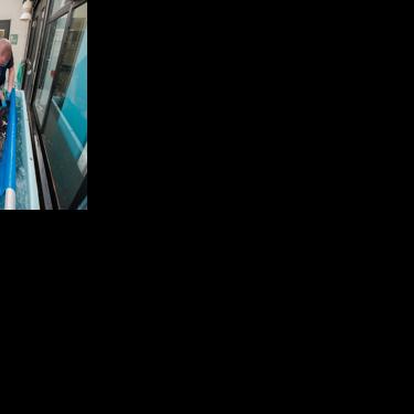 Exploring the Ocean: Life of Marine Biologist Kevin Lewand | Face to ...