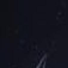 giant squid beak bite