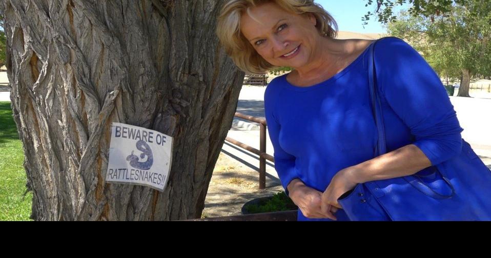 Q&A: Sharon Randall anchors CPY's 25th anniversary. | News ...