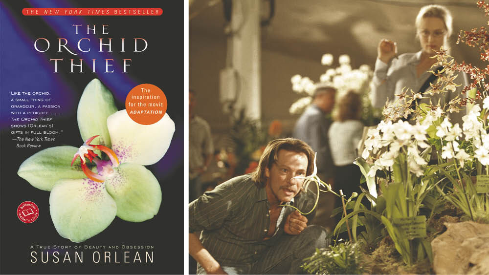Susan Orlean's Observations on Life at Sunset Center | Cover ...