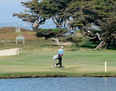 State water board flags potable water use on Peninsula golf courses ...