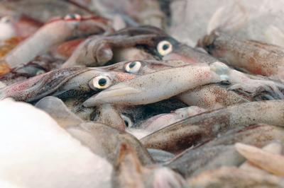 Grunion run caps week of good news for local ocean lovers. | News ...