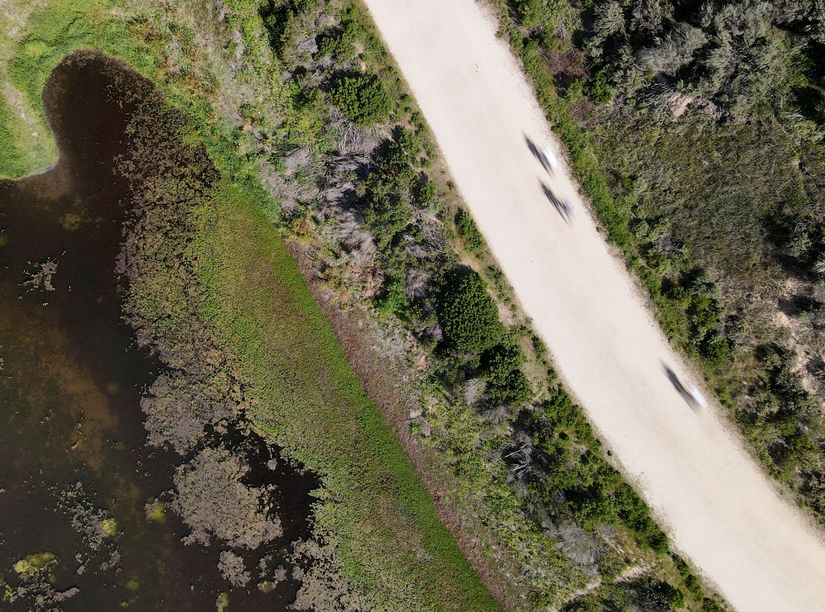 Sea Otter Classic Adds Trail Run, Expands to Toro Park | News ...