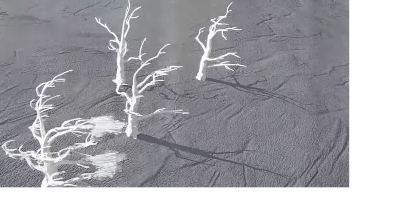 "Secant" | A&E | montereycountynow.com