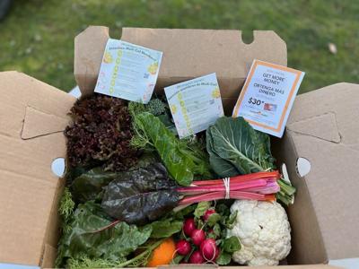 "Free Food Boxes Back Once More at Everyone’s Harvest" | Opinion ...