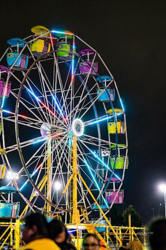 Fall Round Up Festival | A&E | montereycountynow.com