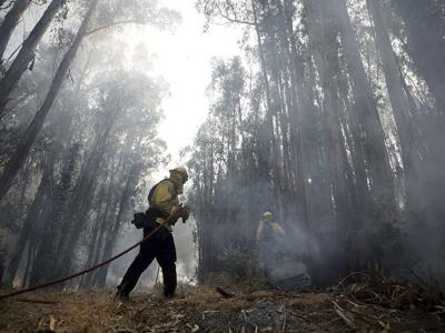 Monterey County Fire Season Outlook: Impacts of a Wet Winter | News ...