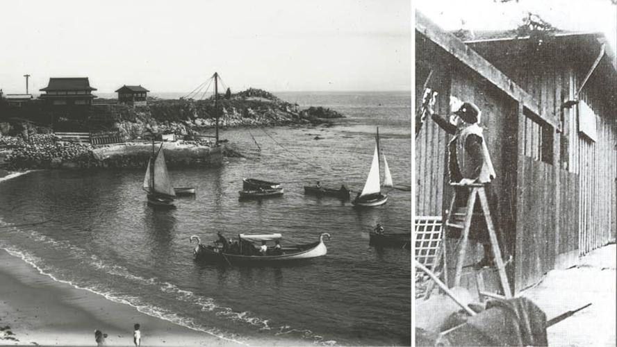 Julia Platt: Trailblazer in Civic Leadership and Science | Cover ...