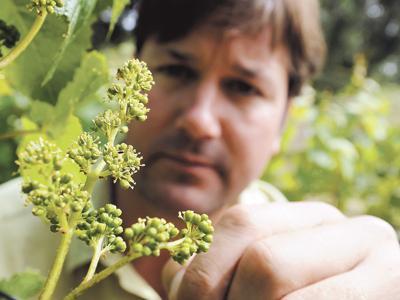 EDIBLE: The loss of Peter Figge leaves a huge hole in Monterey County ...