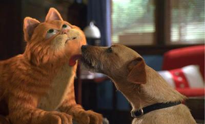 cute tabby cat rival of garfield