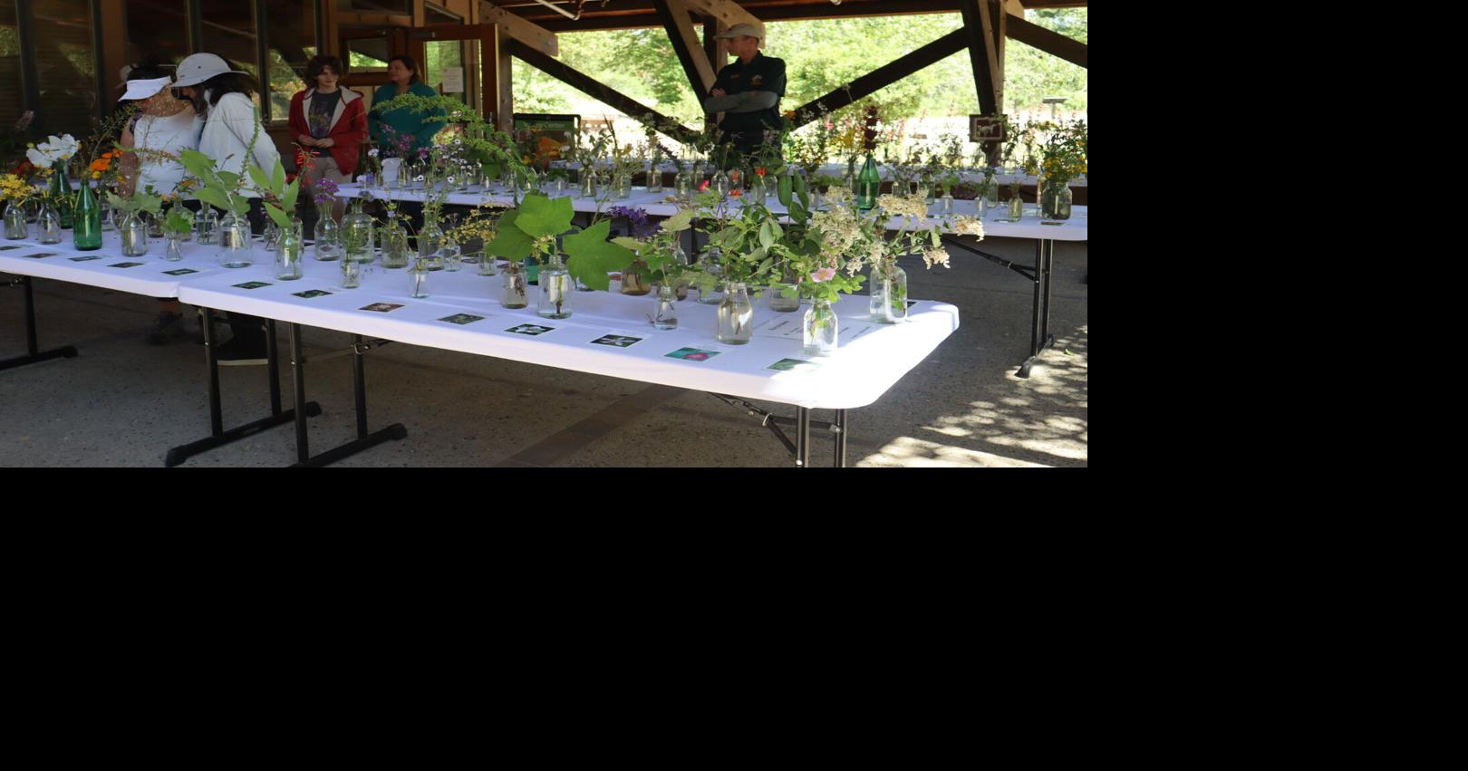 Summer Wildflower Show | A&E | montereycountynow.com