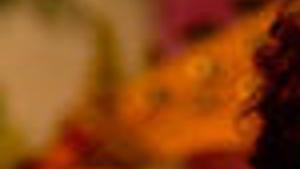 perla batalla leonard cohen