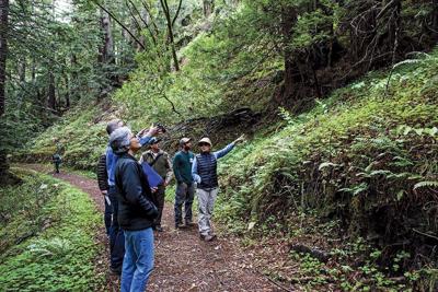 An old-new backcountry trail delivers the quintessential coastal canyon ...