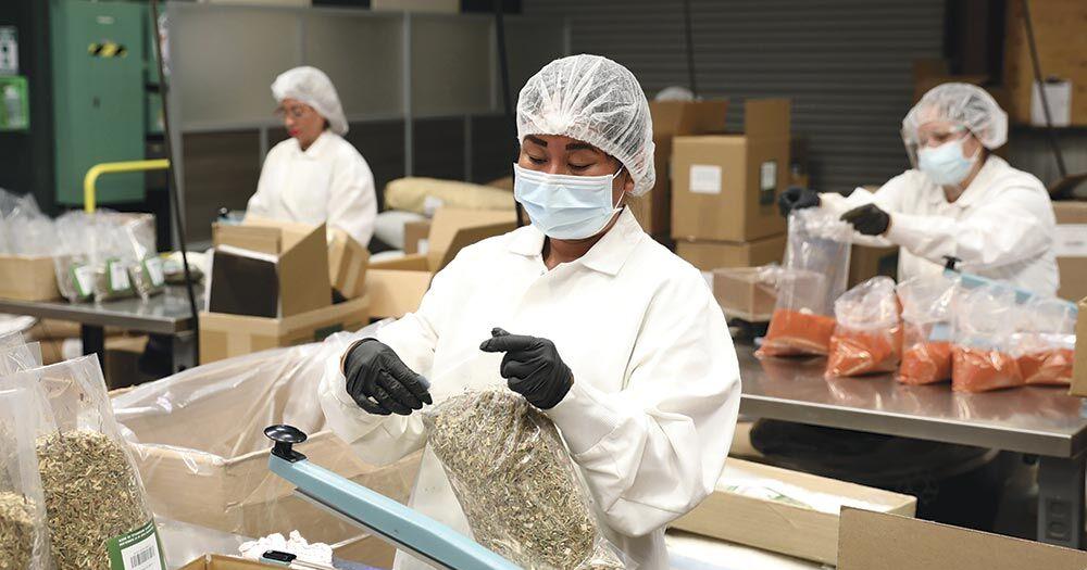 "Access to Herbs and Spices at Monterey Bay Herb Co." | 831 (Tales from ...