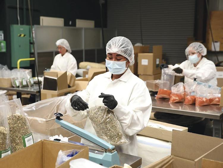 "Access to Herbs and Spices at Monterey Bay Herb Co." | 831 (Tales from ...