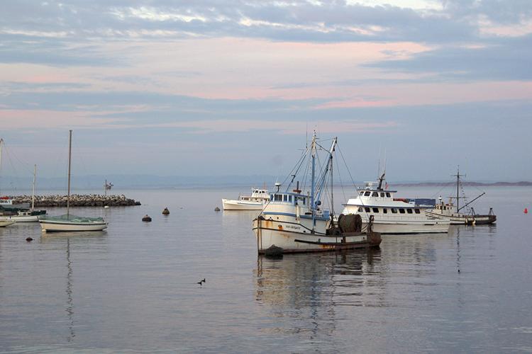 VIDEO: Angelo Di Giralamo Reminisces About Old Fisherman's Wharf ...