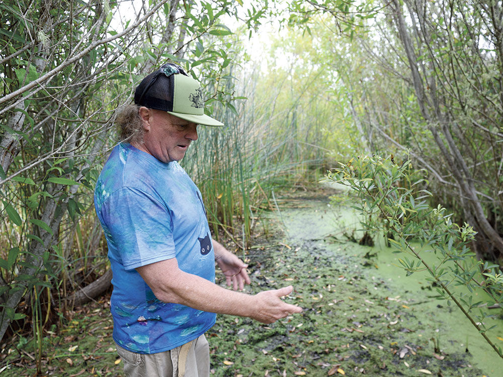 Revitalizing Locke-Paddon Park: Community and Officials Unite | News | montereycountynow.com