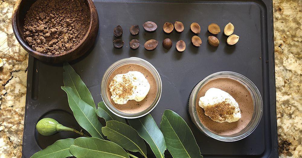 Connecting with Ancient Food Traditions: Bay Nut Season | Eat + Drink ...