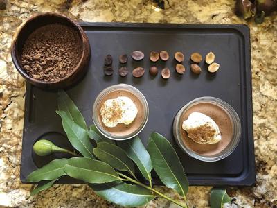 Connecting with Ancient Food Traditions: Bay Nut Season | Eat + Drink ...