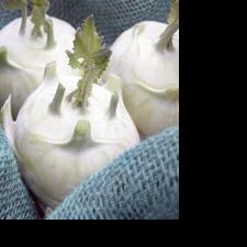 The Weekly ’s occasional columnist answers some odd questions about ...