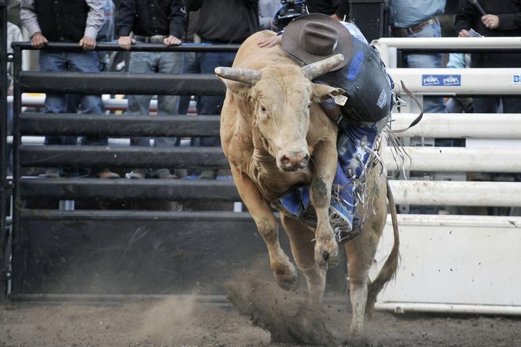 PHOTOS: Pro Bull Riding brings a full house to the California Rodeo ...