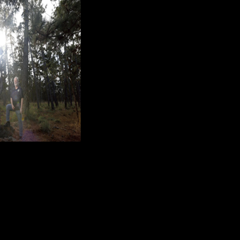 The Monterey Peninsula’s trees can wreak havoc during a wet winter. Is ...