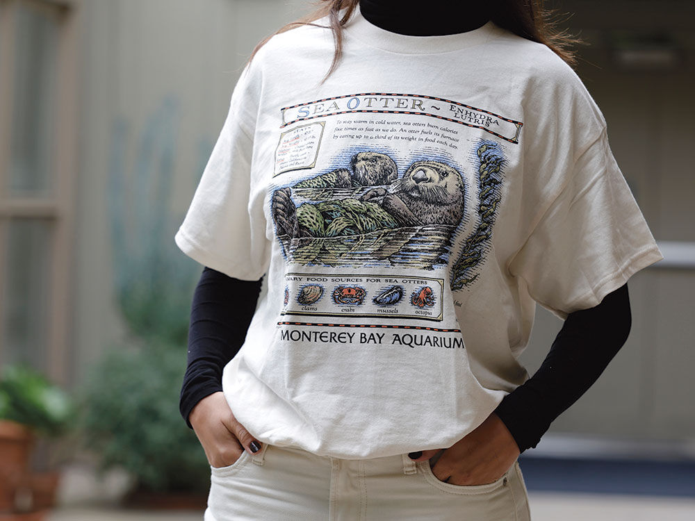 Taylor Swift T-shirt Raises $2.3M for Sea Otters | 831 (Tales from the ...