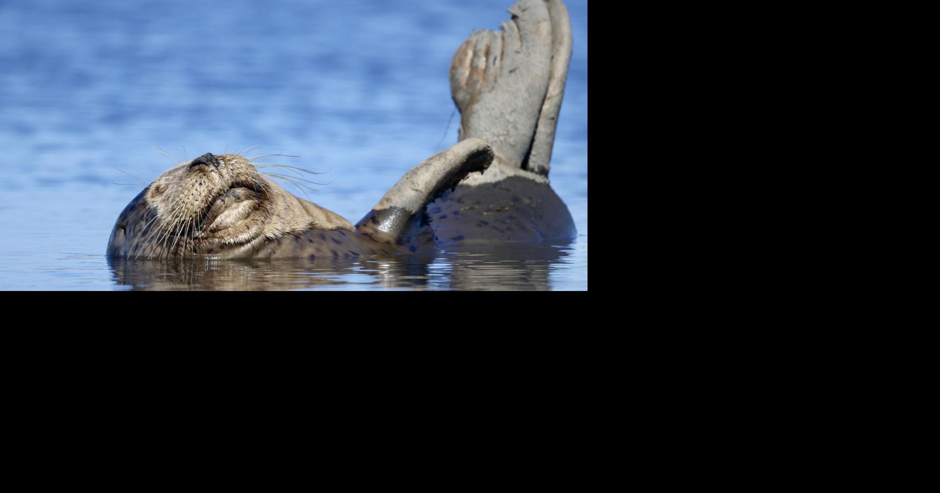 Chris Spain | ETC. Photo Gallery | montereycountynow.com