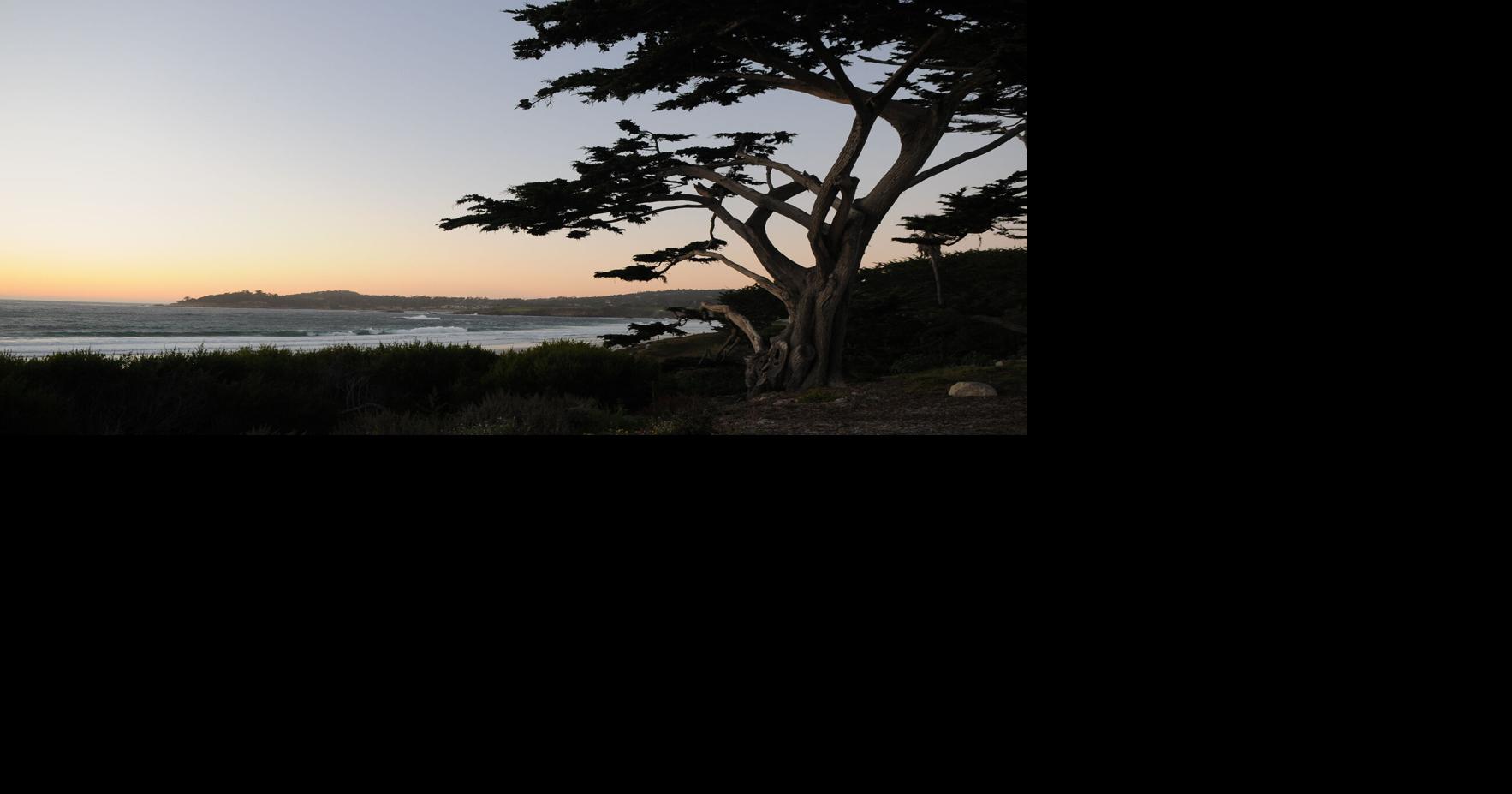 Carmel City Council majority seeks to douse wood-burning beach fires in ...