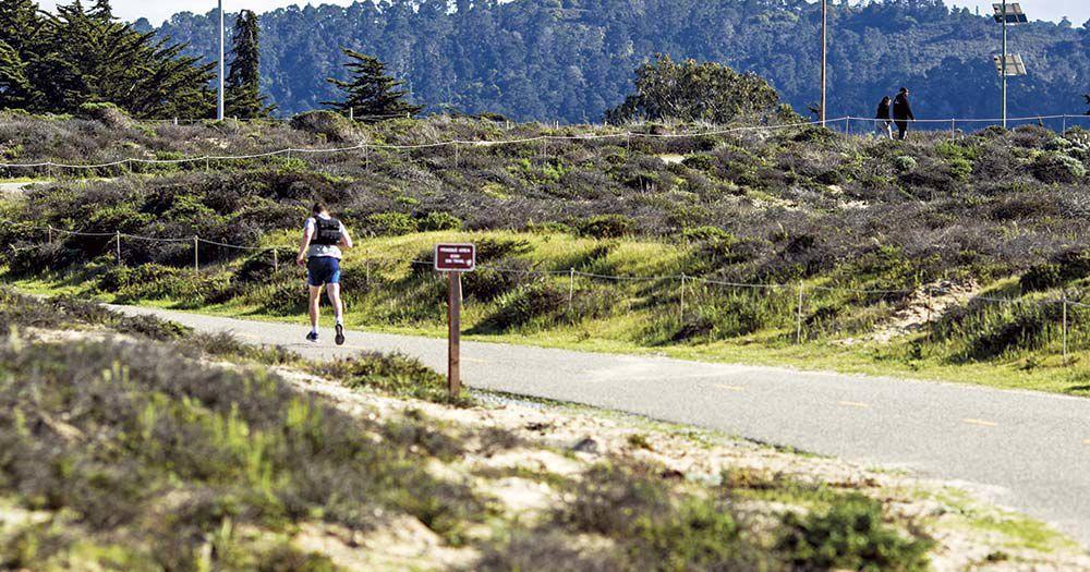 Monterey Bay Coastal Recreation Trail: Seaside | Outside ...