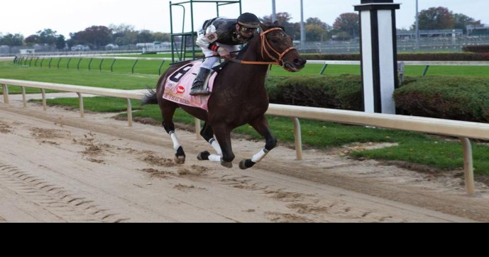 The improbable story of the horse that shocked the Kentucky Derby comes ...