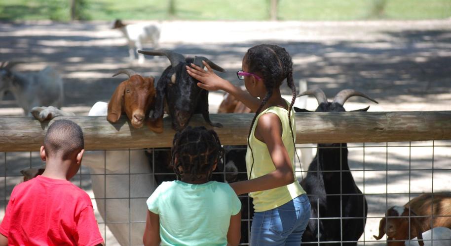 Want a Mid-Winter Adventure? Visit Alabama Safari Park! | The Whirl ...