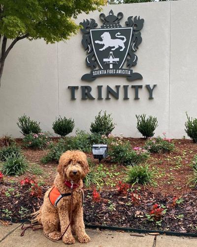 Trinity Has Gone To The Dogs | School | montgomeryindependent.com
