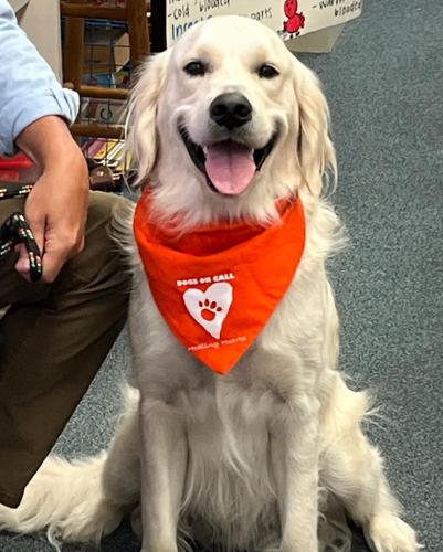 Trinity Has Gone To The Dogs | School | montgomeryindependent.com