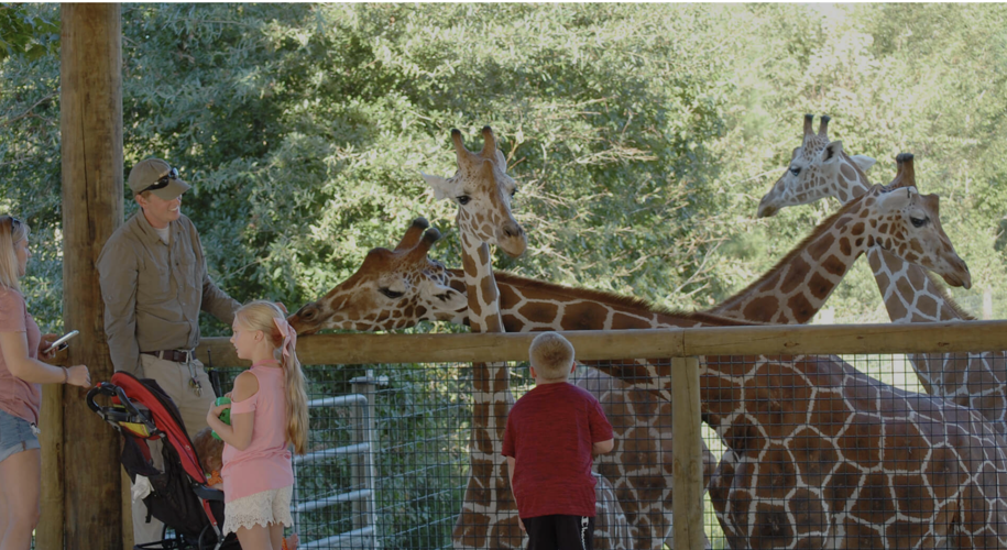 Want a Mid-Winter Adventure? Visit Alabama Safari Park! | The Whirl ...