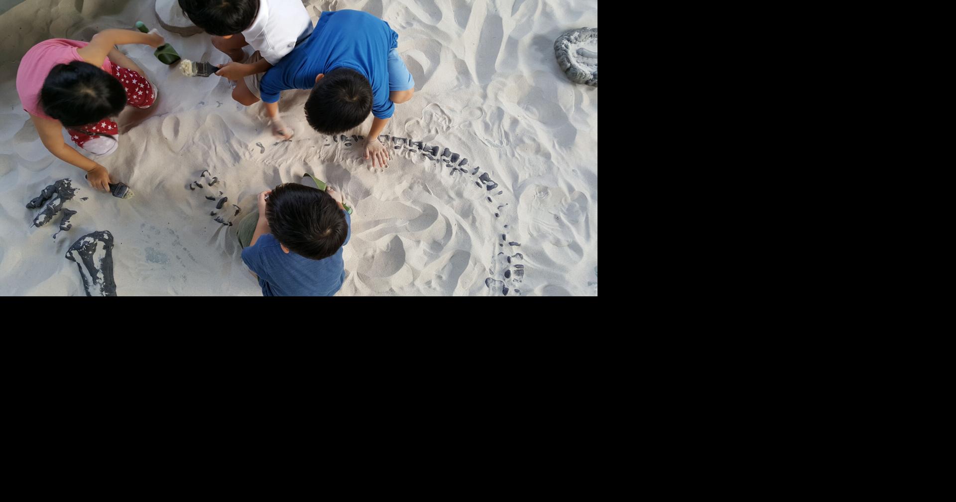 Montgomery Zoo Provides Dino Dig Education Program ...