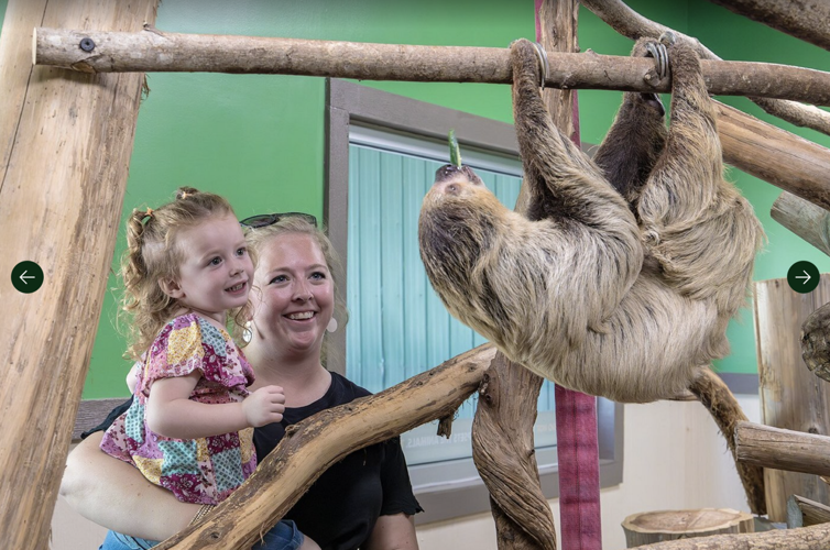 Want a Mid-Winter Adventure? Visit Alabama Safari Park! | The Whirl ...