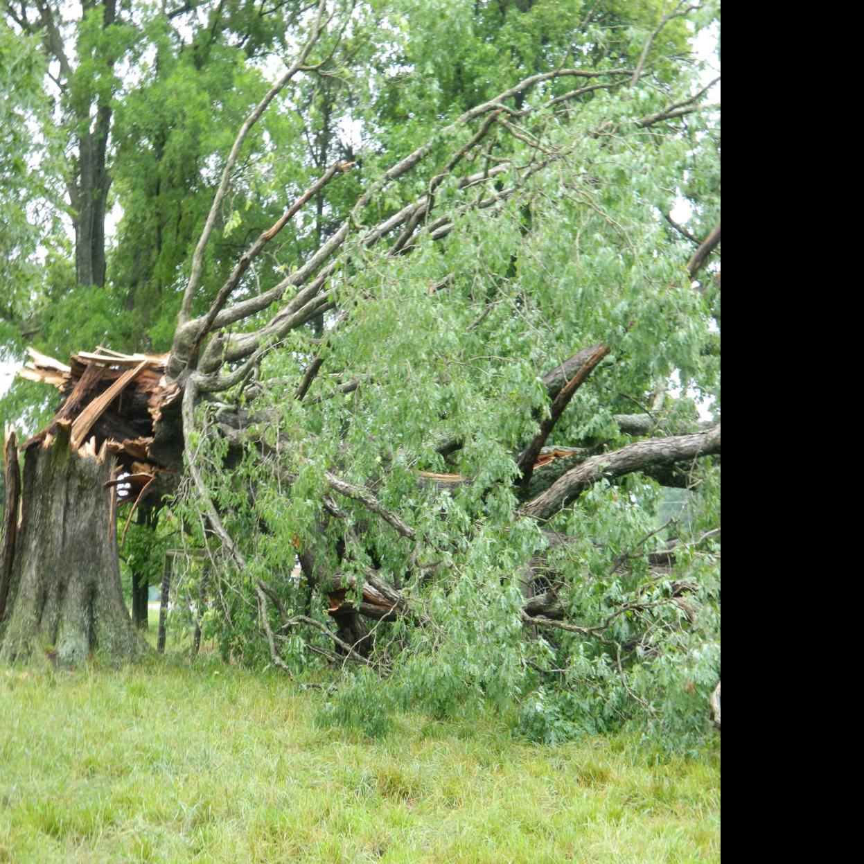 mooresvilletribune.com | News, Sports, Jobs & Real Estate for South ...