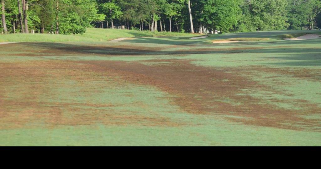 Mooresville Golf Club plans repairs after weather takes toll on course