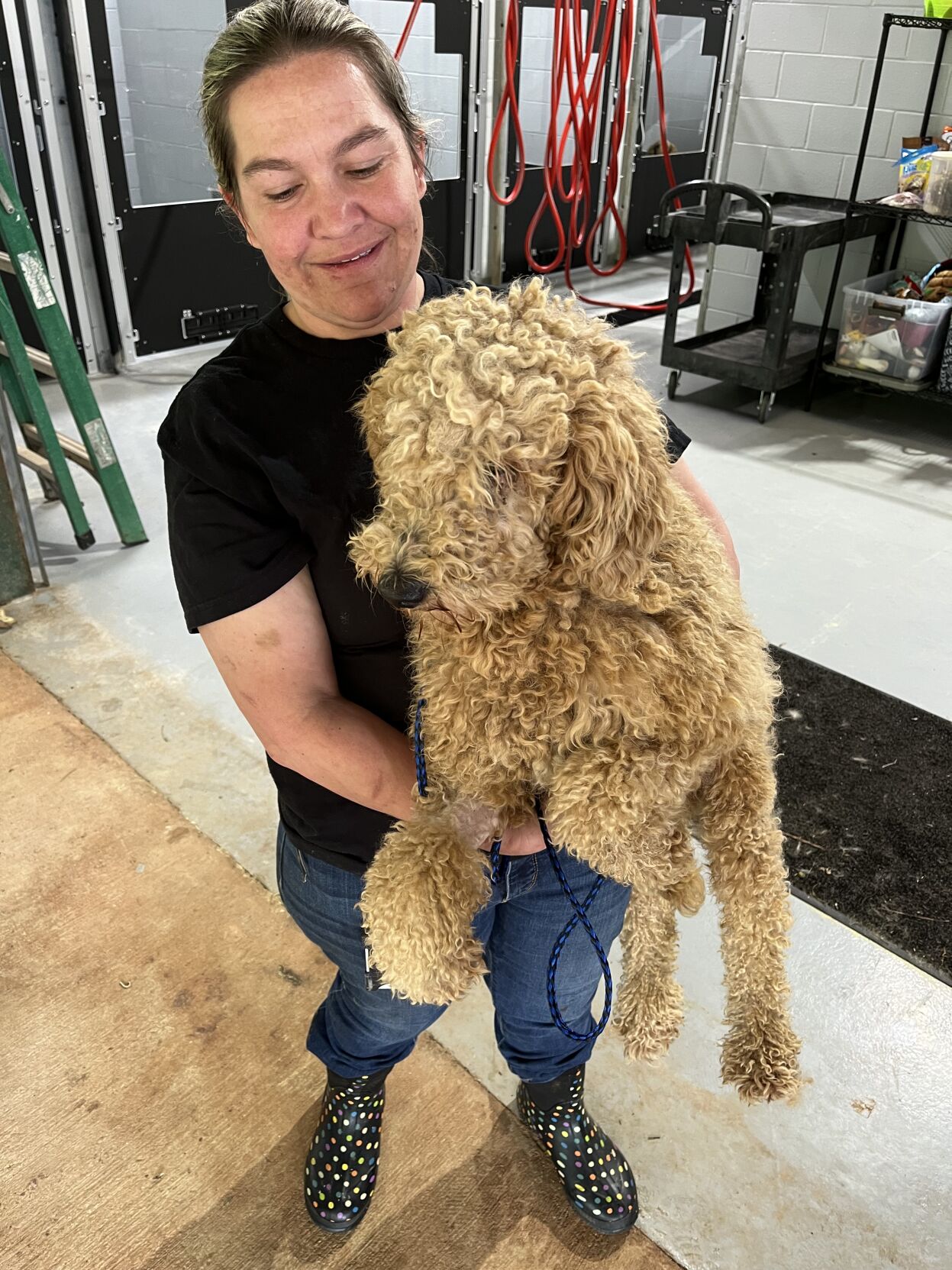 Morgan Animal Control services handle fur friends with compassion and ...