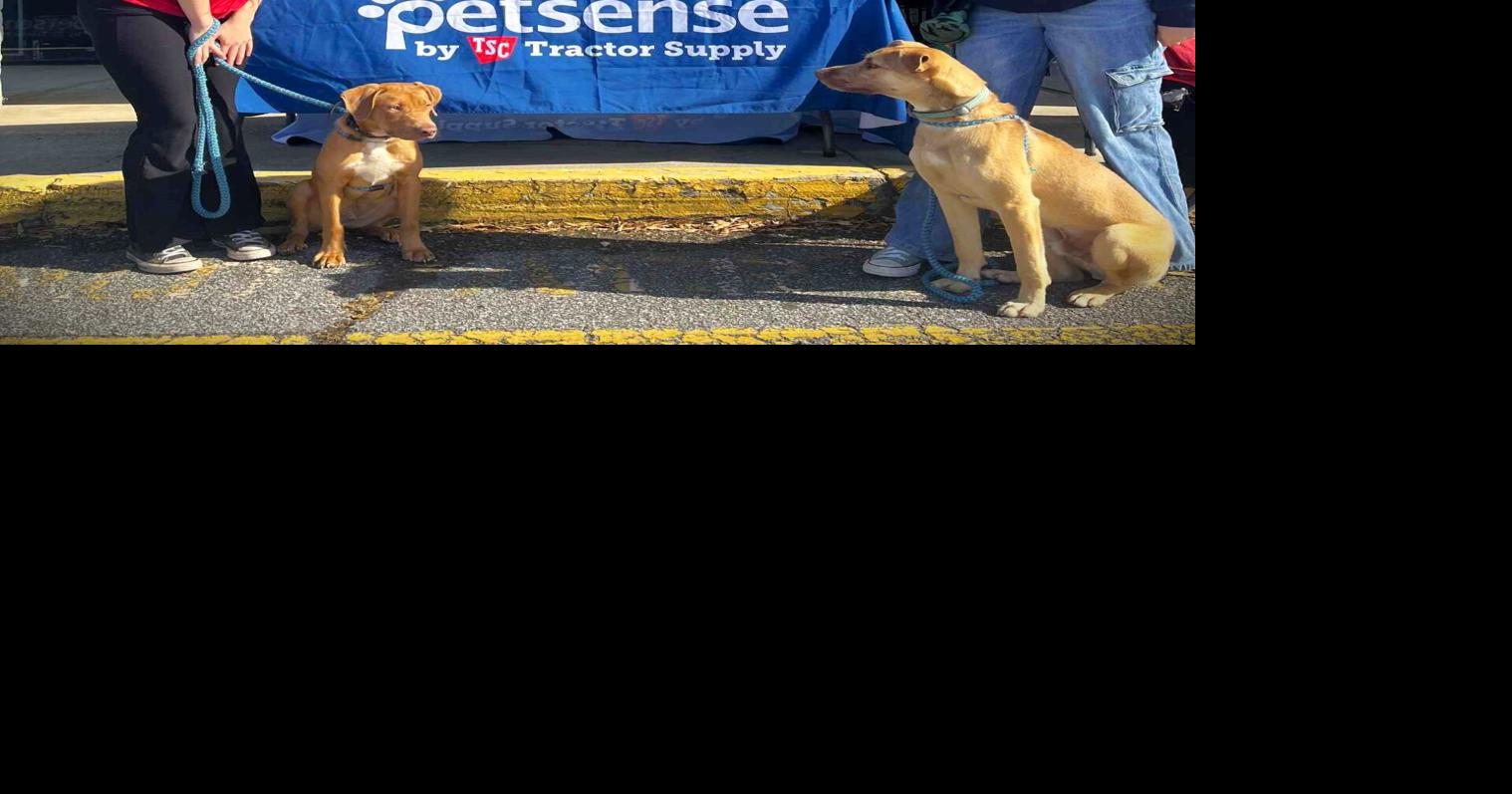 Petsense Opens In Madison | News | morgancountycitizen.com