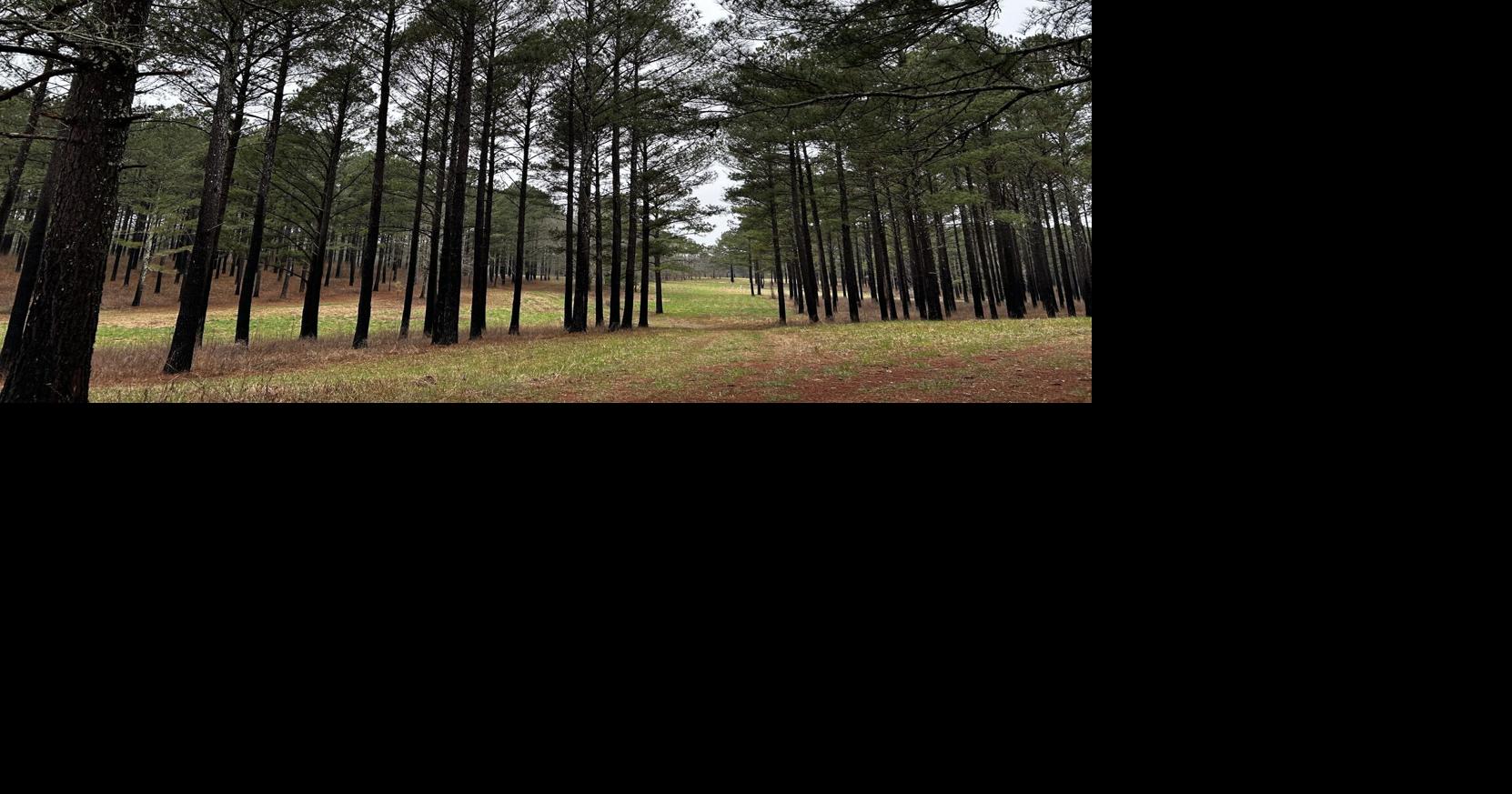 STUDY: Morgan County should preserve 75,000 acres to sustain local ag ...