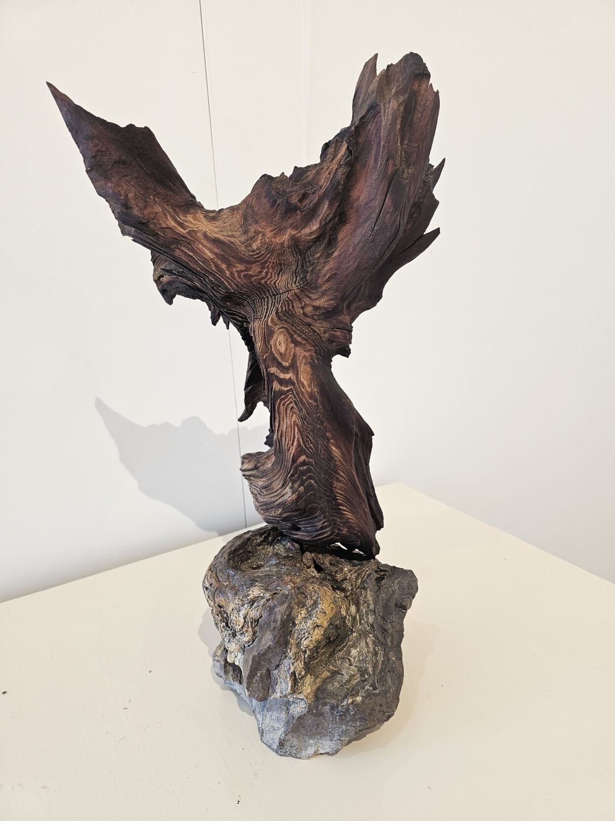 MAGallery Opens New Exhibit: Branching Out | News | morgancountycitizen.com