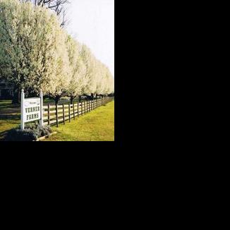 Rivian land acquisitions are complete: State spends a total $32.7 ...