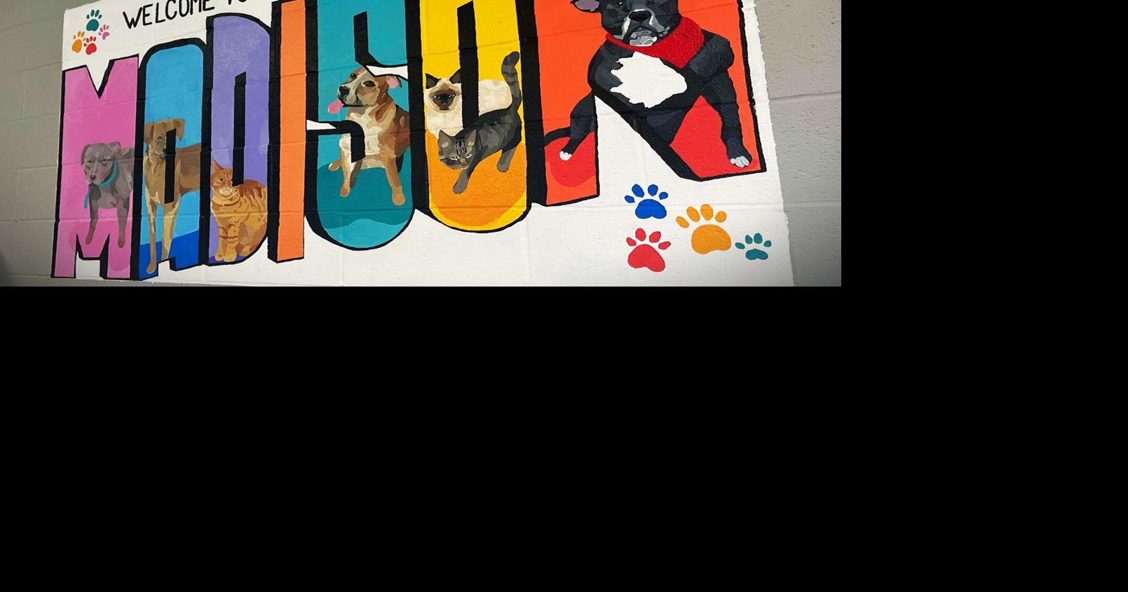 Morgan County Animal Shelter Hits Capacity for Cats | News ...
