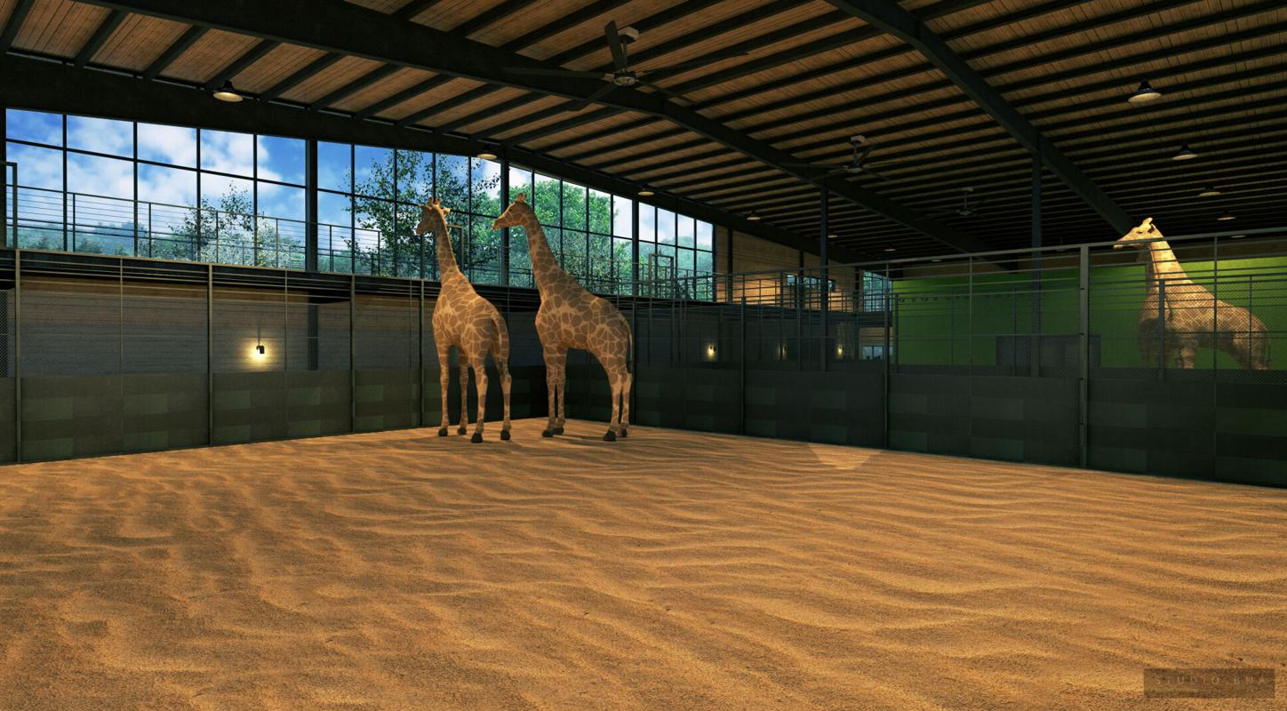 Georgia Safari Conservation Park slated to open June 1 | News ...