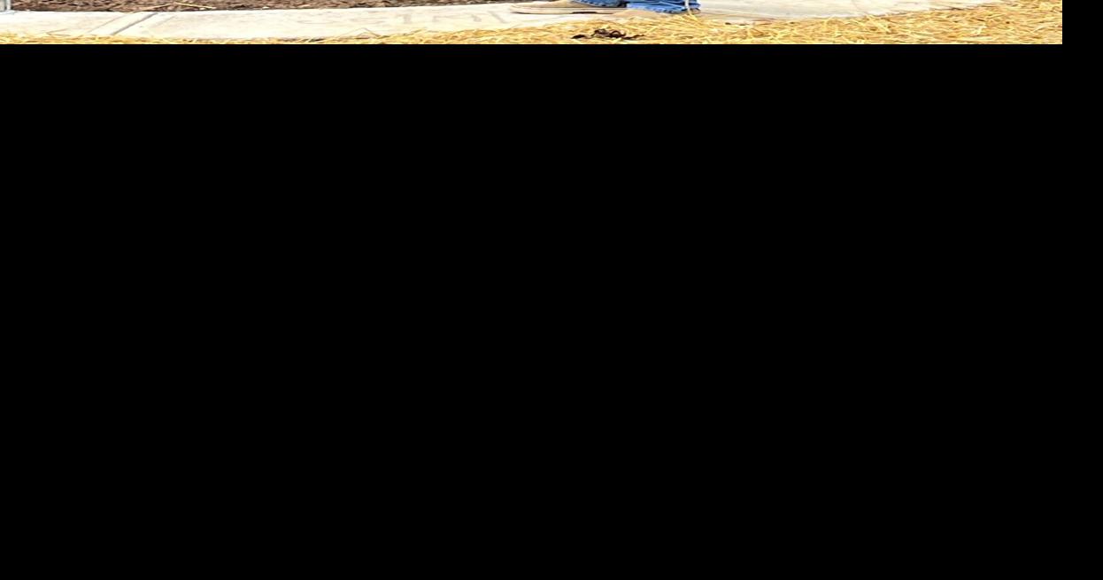 Rutlege Moves Forward With Silo Park | News | morgancountycitizen.com